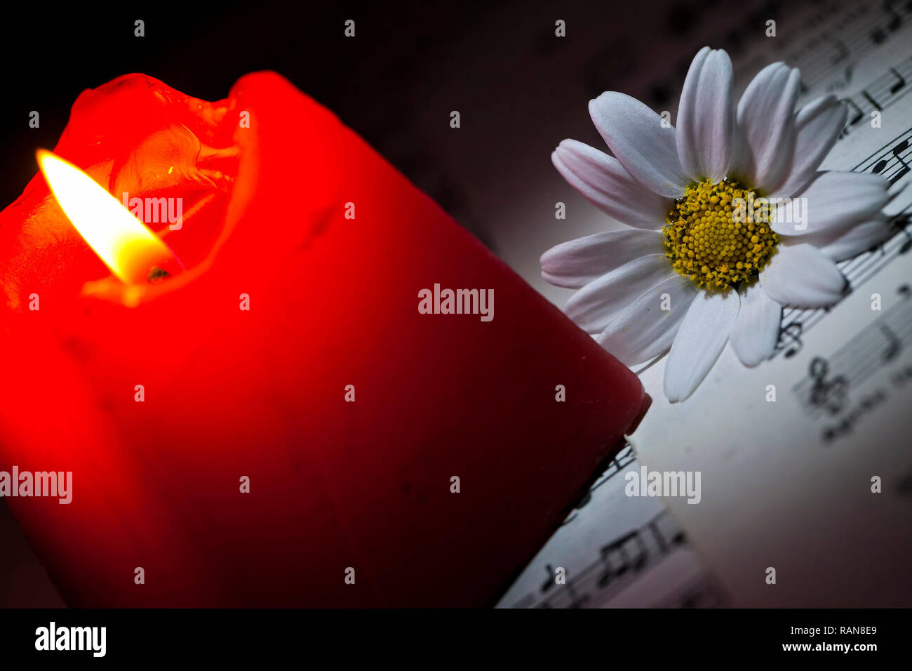 Flower Daisy Music Notes Sheets and Candle Light Stock Photo - Alamy
