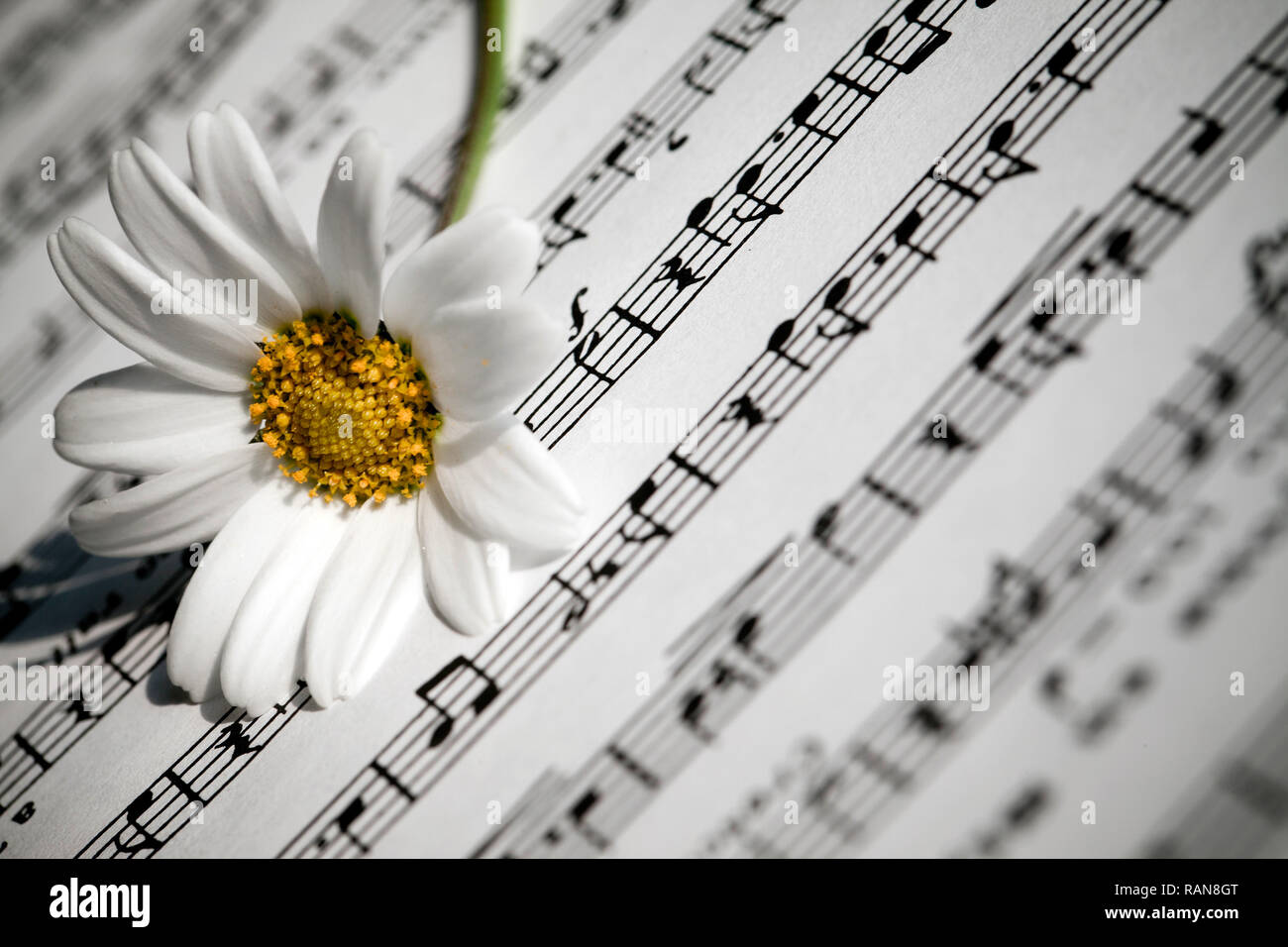 Music Notes Photography