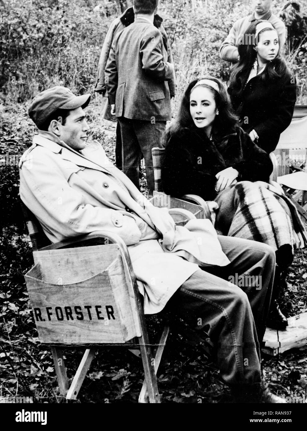 Robert Forster Reflections In A Golden Eye