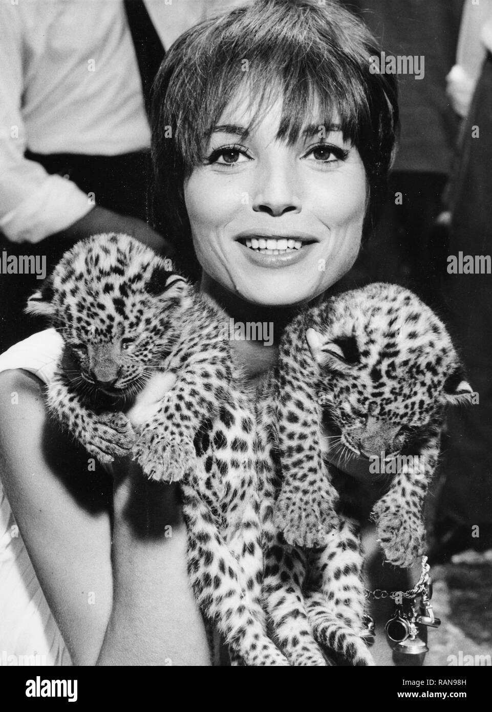 Zoo photographs Black and White Stock Photos & Images - Alamy