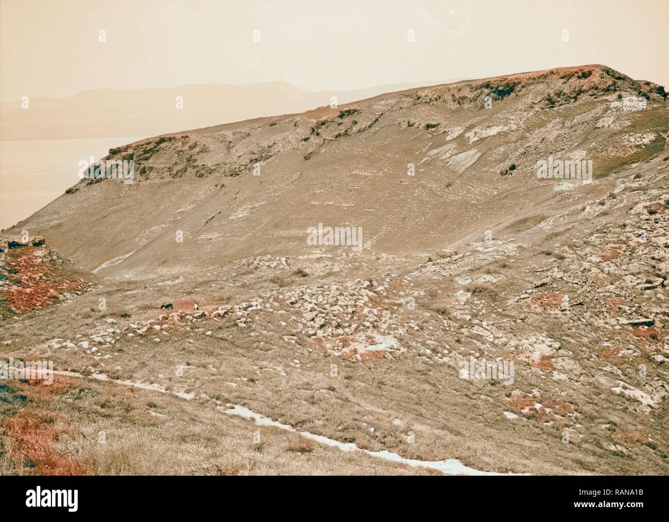 Gamala (Kal'at el-Huson east of the Sea of Galilee) Gamala from S.E ...