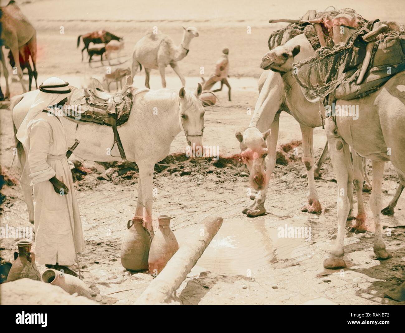 Aref el Aref & Bedouin sheikhs 1932, Middle East, Israel and/or ...