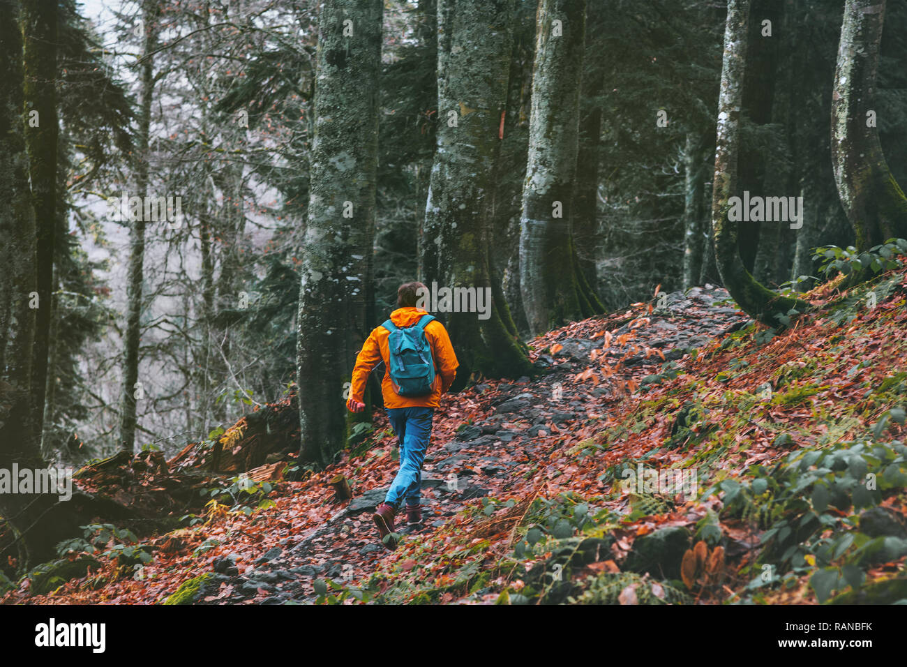 Alone In Forest High Resolution Stock Photography and Images - Alamy