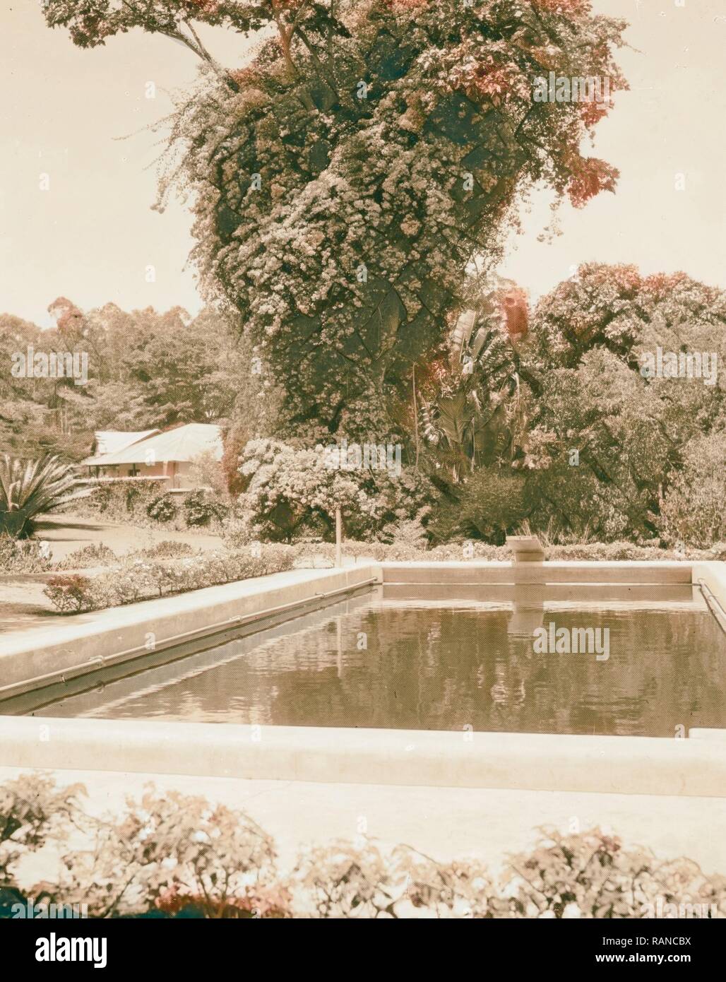 Uganda. Entebbe. Open air swimming pool at Government House. 1936 ...