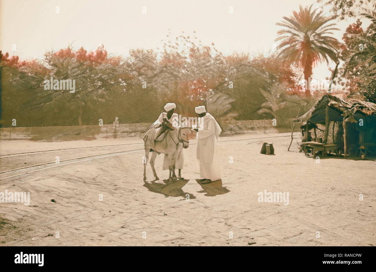 Sudan. Khartoum. Near Shambat. Two men and a donkey. 1936, Sudan ...
