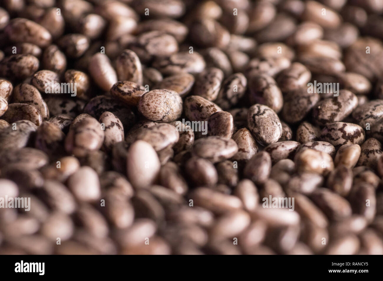 Close to see the shape, chia seed Stock Photo - Alamy