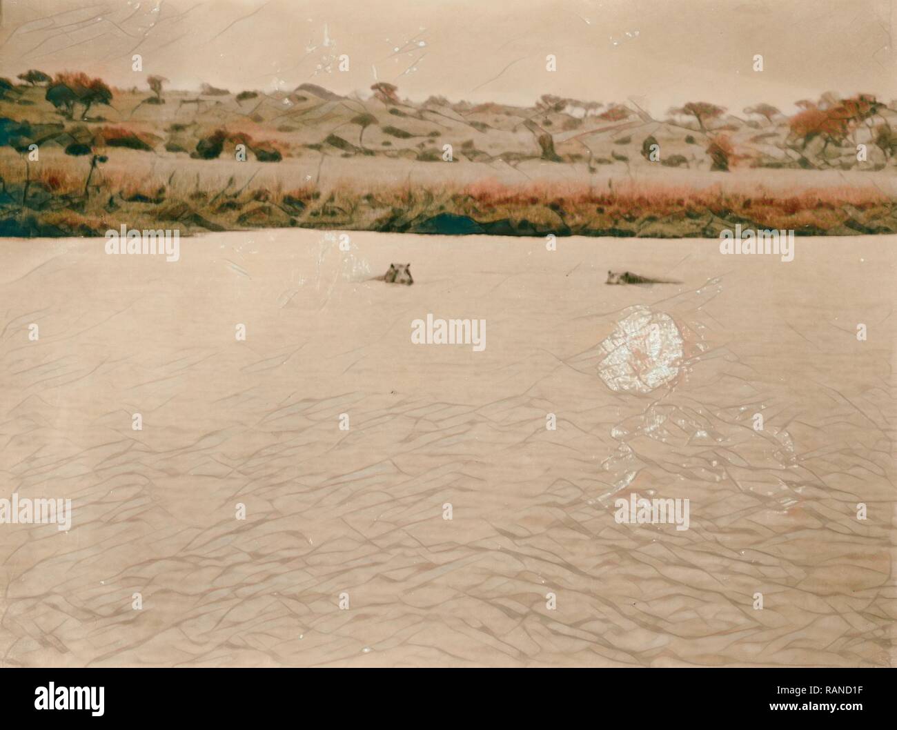 Uganda. Victoria Nile. Closer up of two hippos in the river. 1936 ...