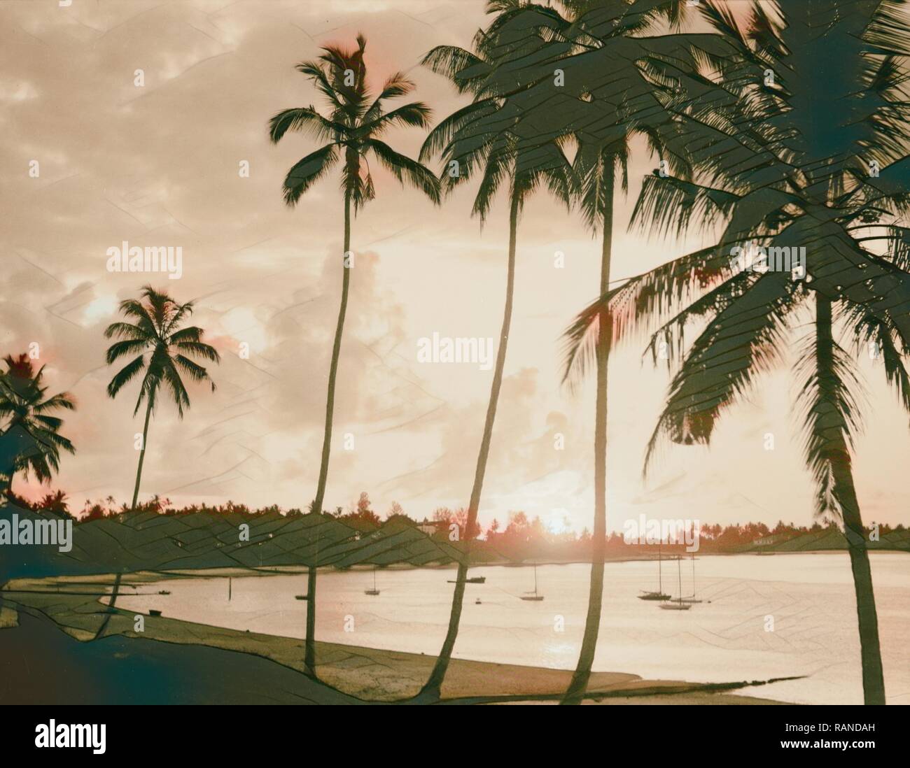 Tanganyika. Dar-es-Salem. Sunrise seen through palm grove from across ...