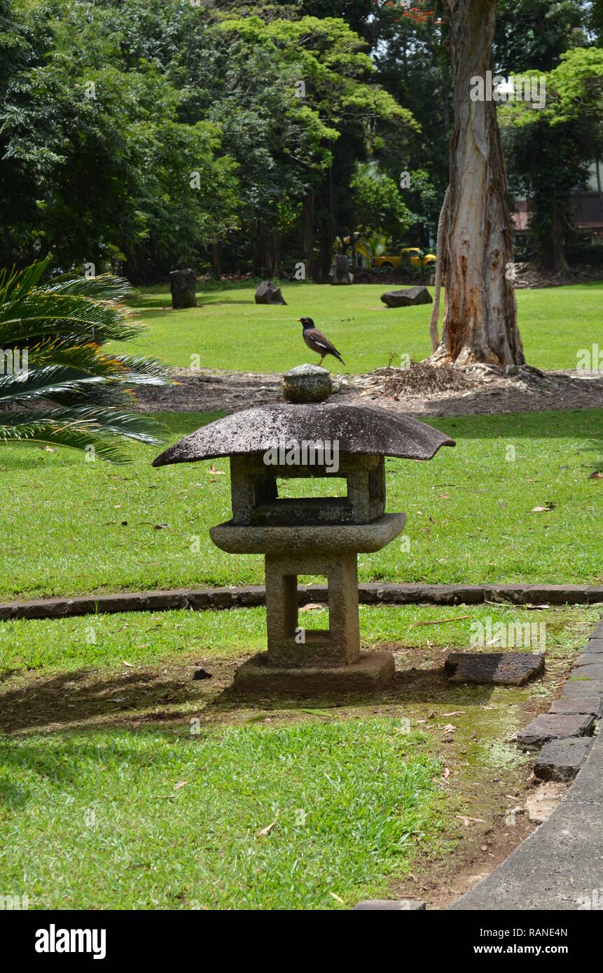 Hawaiian perch hi-res stock photography and images - Alamy