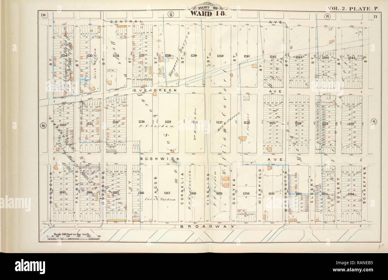 Magnolia map hi-res stock photography and images - Alamy