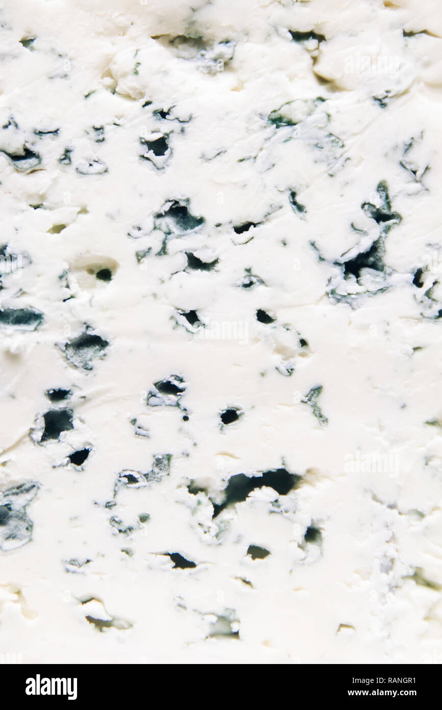 Traditional Auvergne blue cheese from France Stock Photo - Alamy