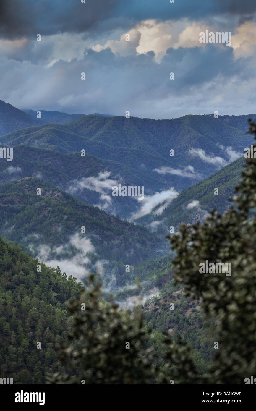 Paphos forest hi-res stock photography and images - Alamy