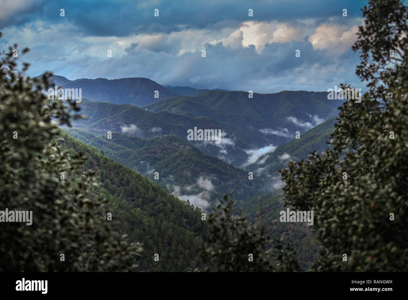 Paphos forest hi-res stock photography and images - Alamy