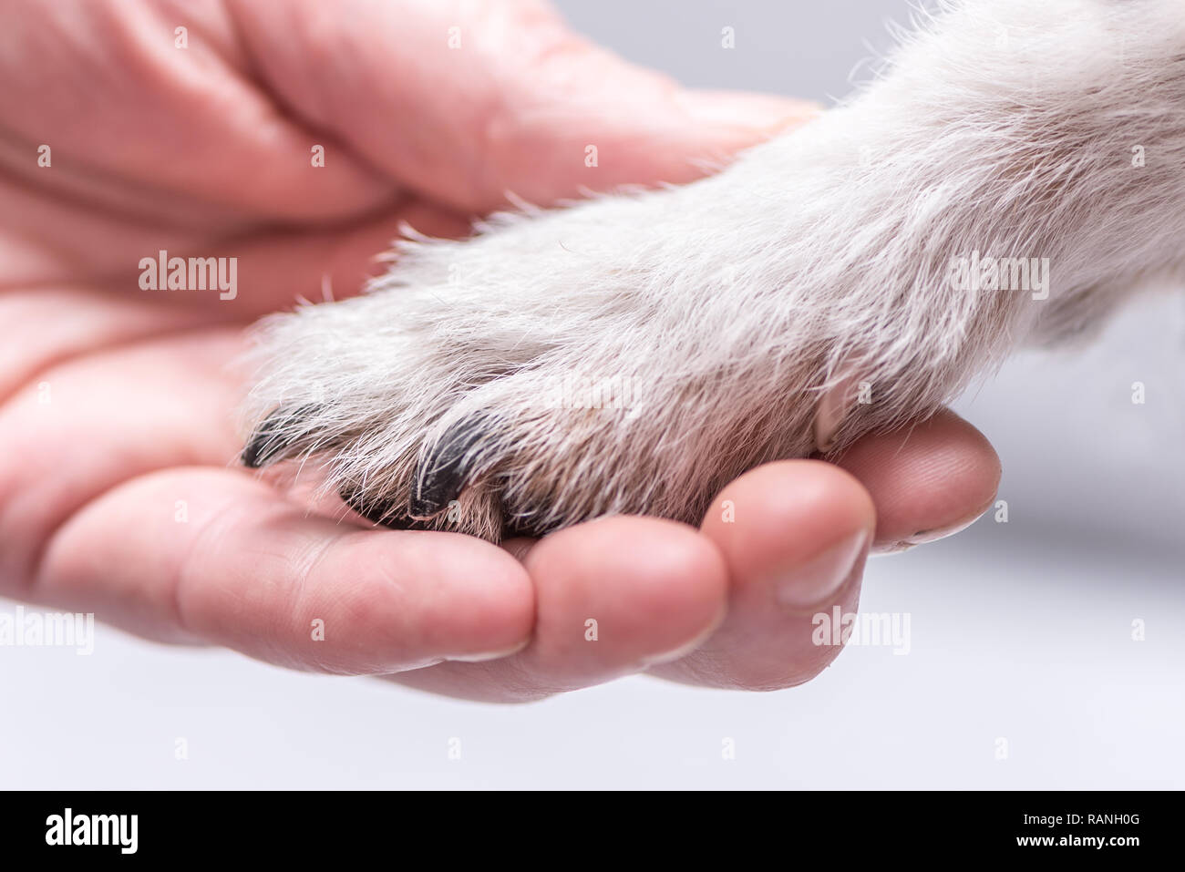 Claw hand hi-res stock photography and images - Alamy