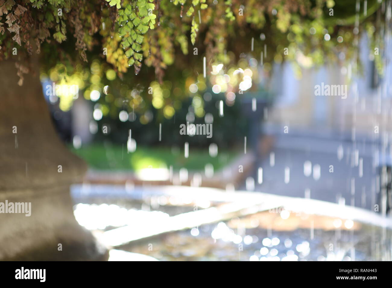 Moss fountain in Salon-de-Provence, fontaine moussue, Provence, France ...