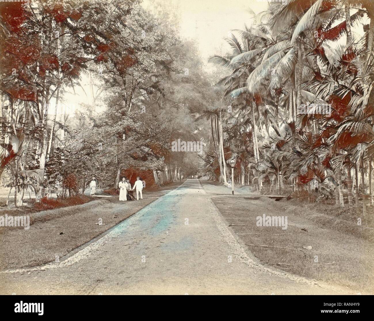 European and Indian people along an avenue in the Dutch East Indies ...