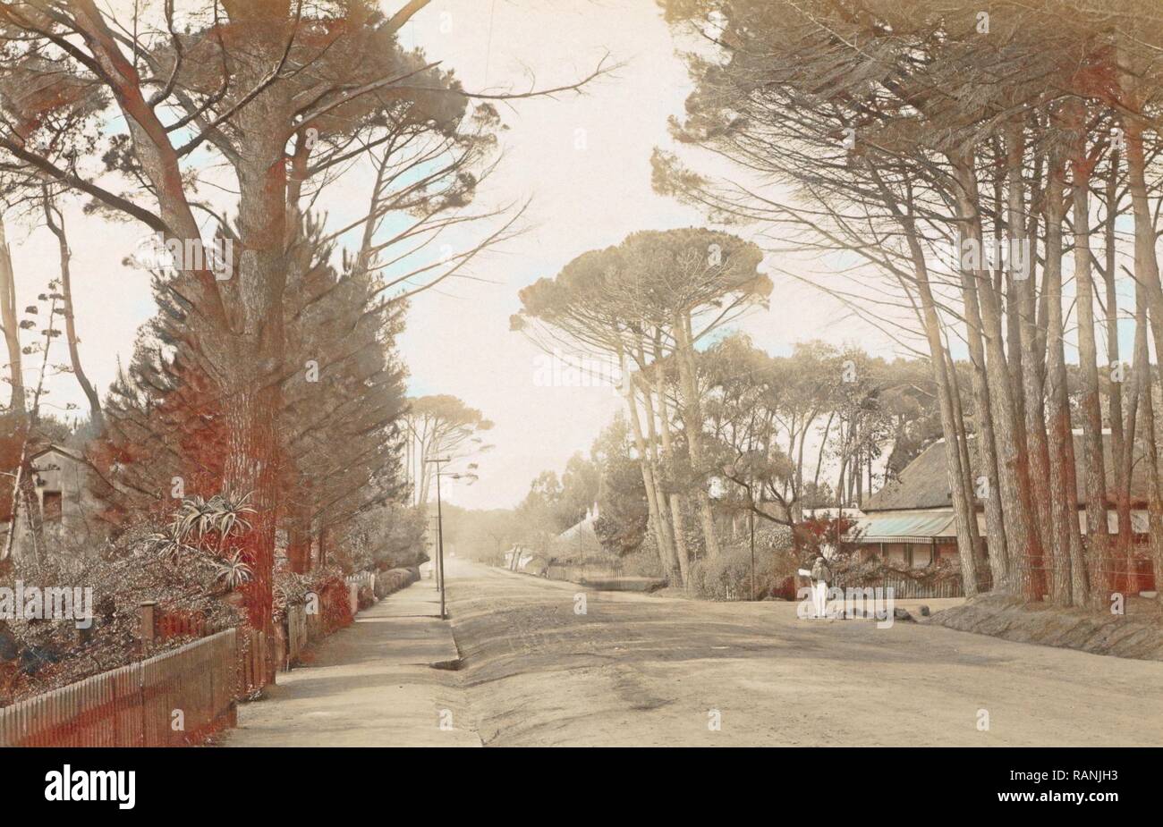 On the Main Road at Wynberg, GWW. Reimagined by Gibon. Classic art with ...