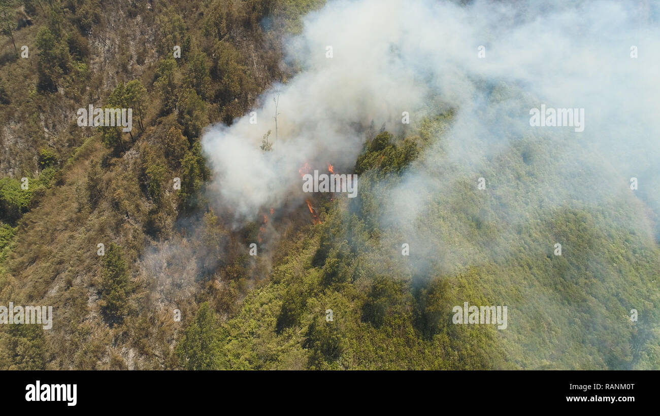 aerial view forest fire smoke on the slopes hills. fire in mountain ...