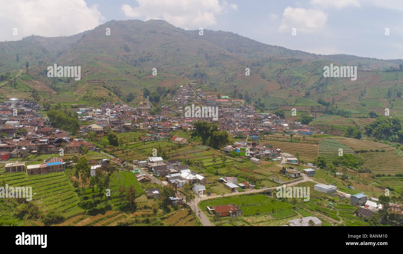 asian town with mosque in mountains among agricultural land, rice ...