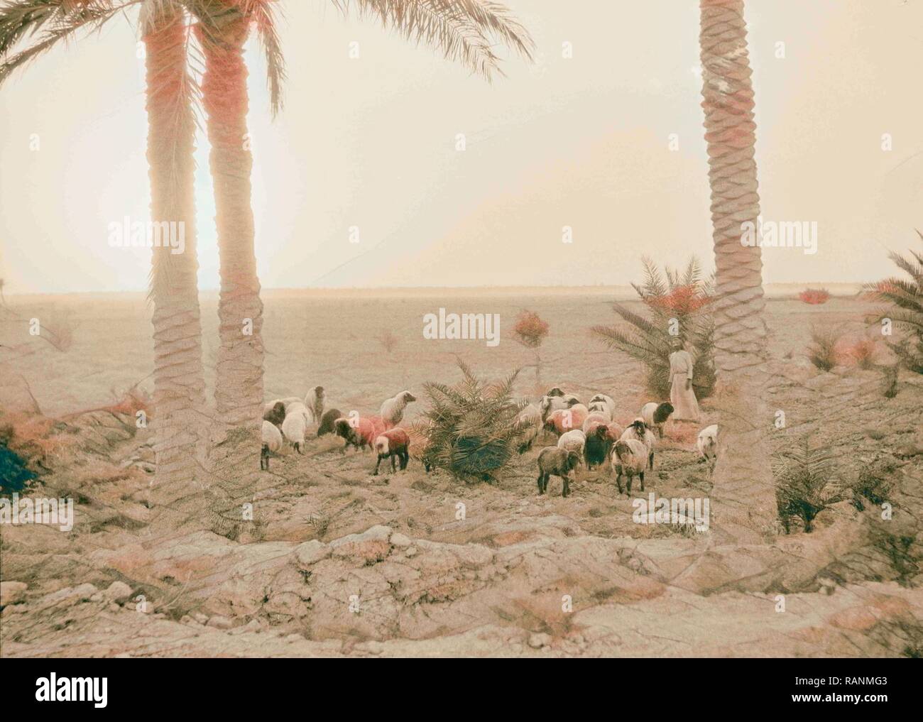 Kerbela. Second holy city of the Shiite Muslims. Pastoral scene near ...