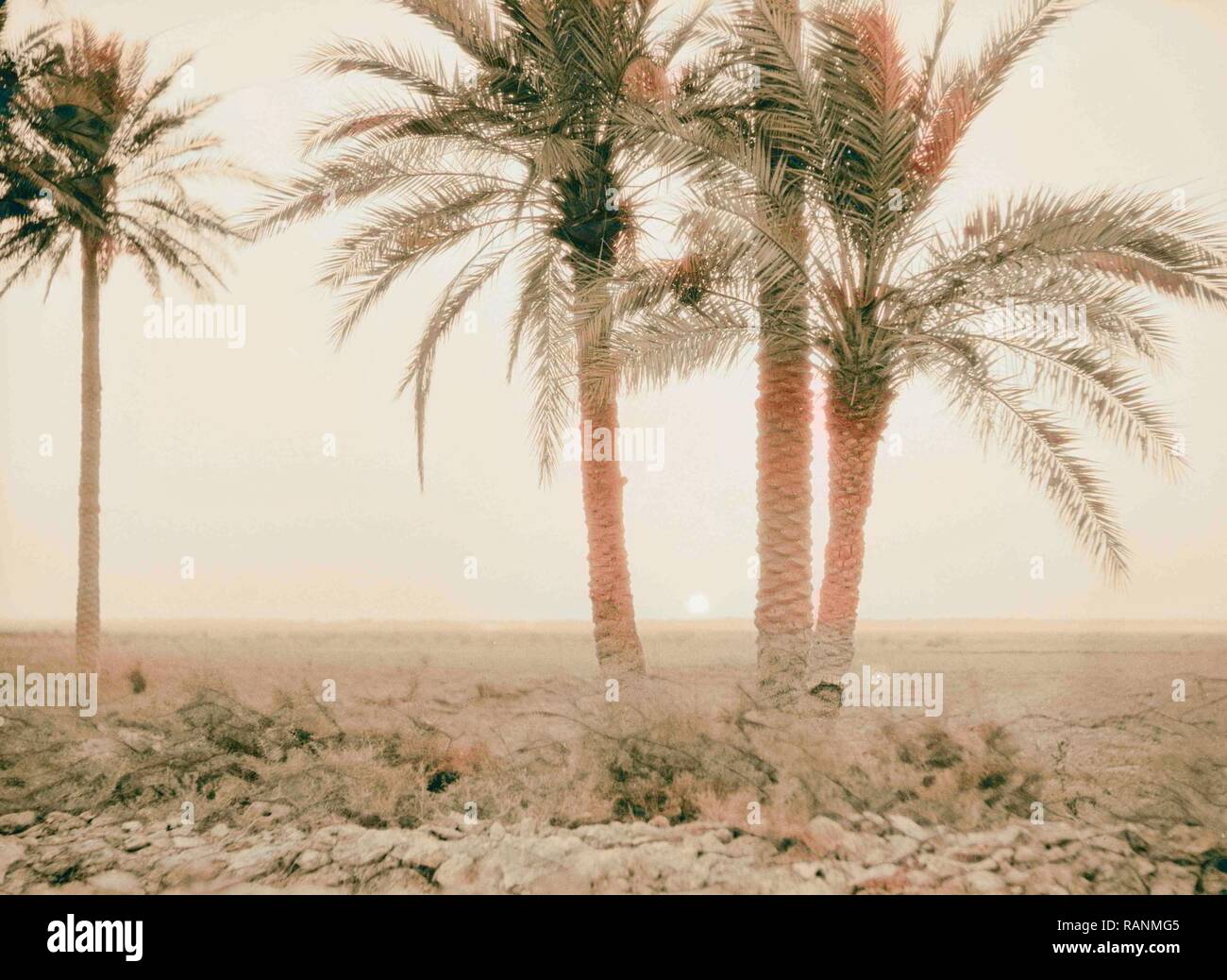 Kerbela. Second holy city of the Shiite Muslims. Sunset through the ...
