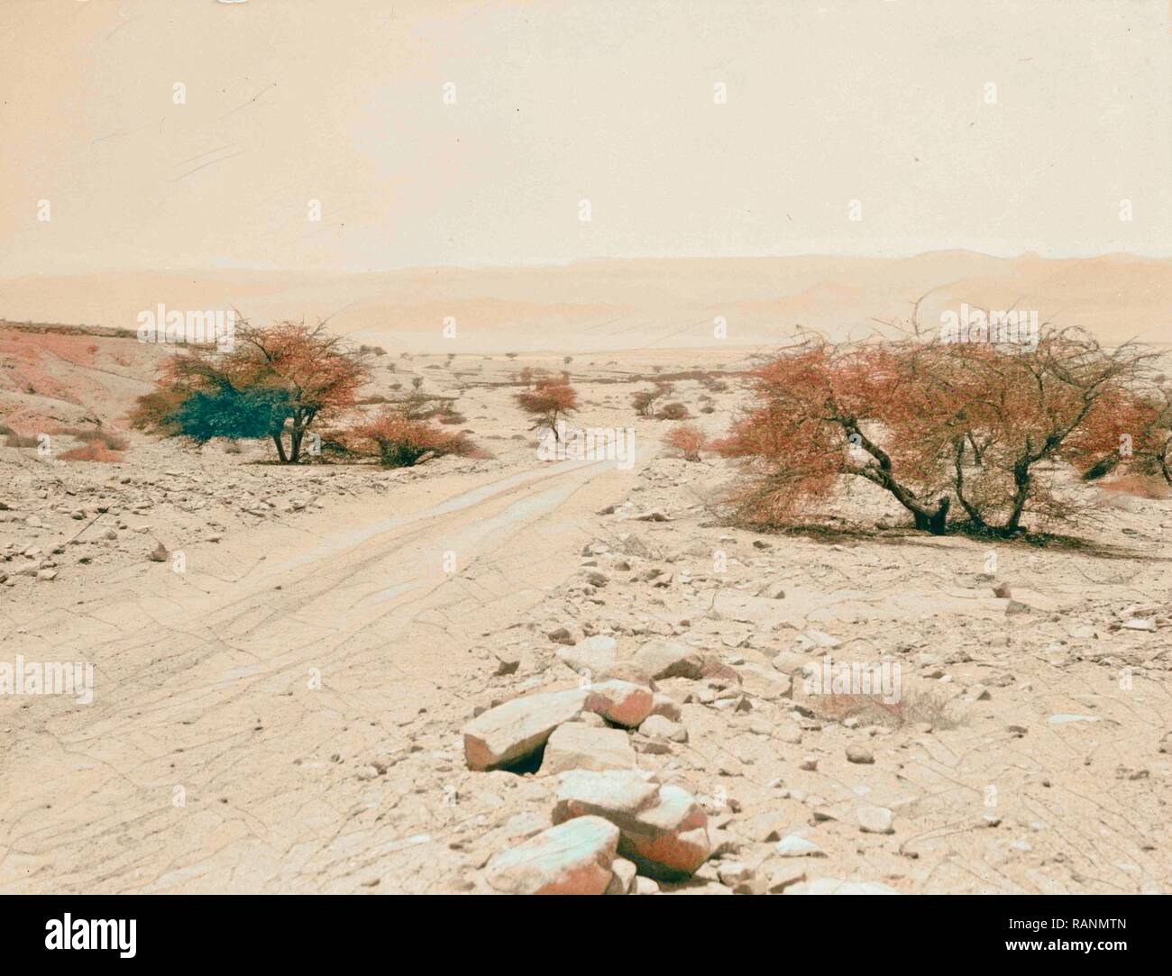 The Araba (Southern end of the great Jordan rift). Akaba (Elath). Gulf ...