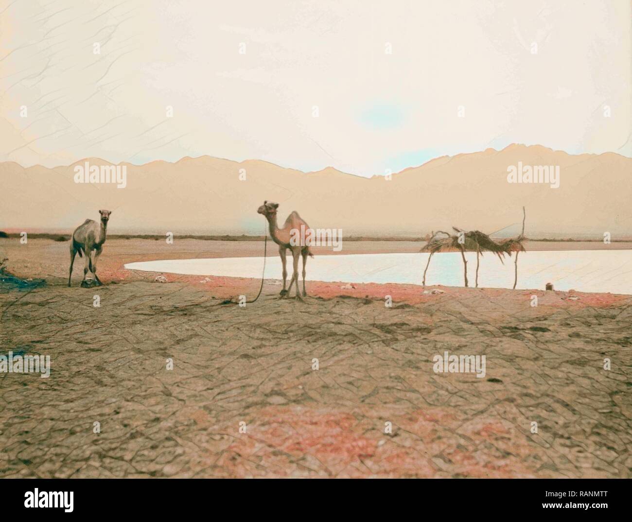 The Araba (Southern end of the great Jordan rift). Akaba (Elath). Gulf ...