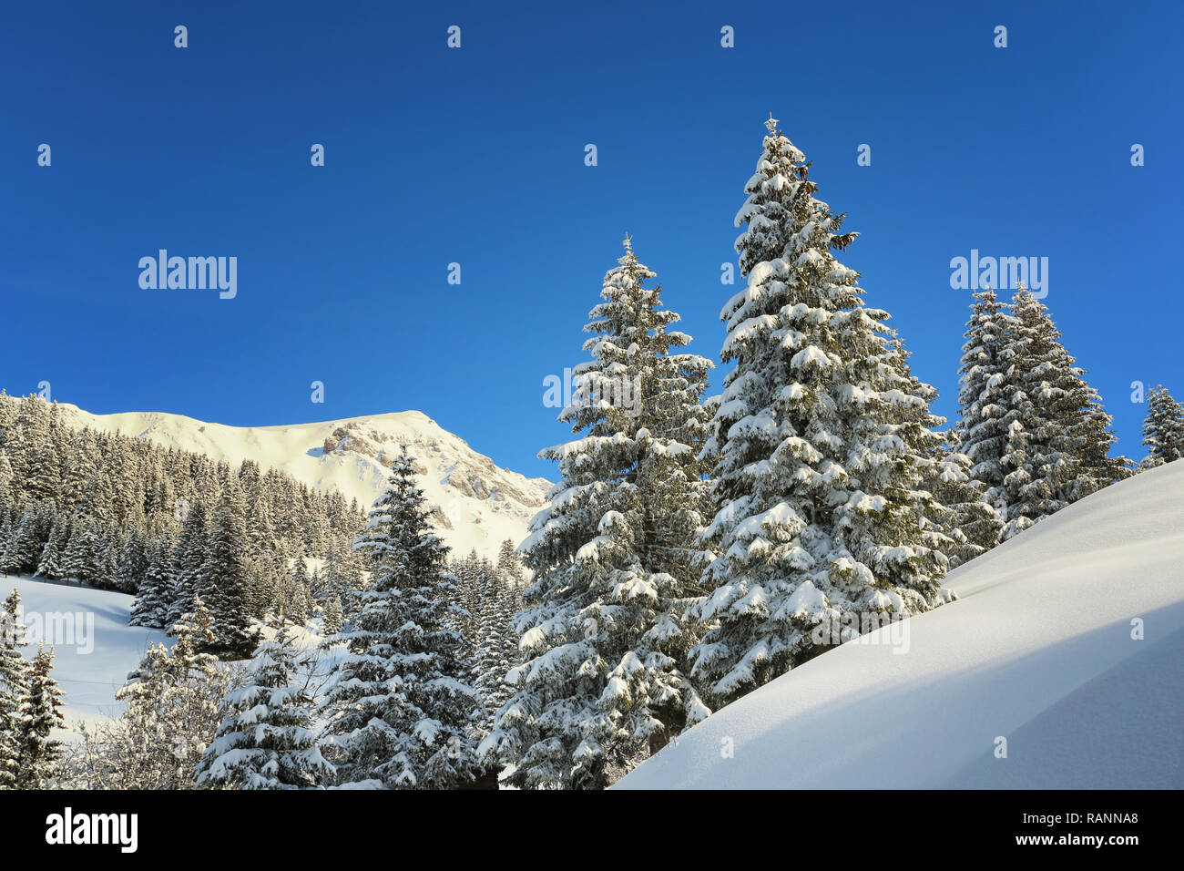 winterly landscape in switzerland Stock Photo - Alamy