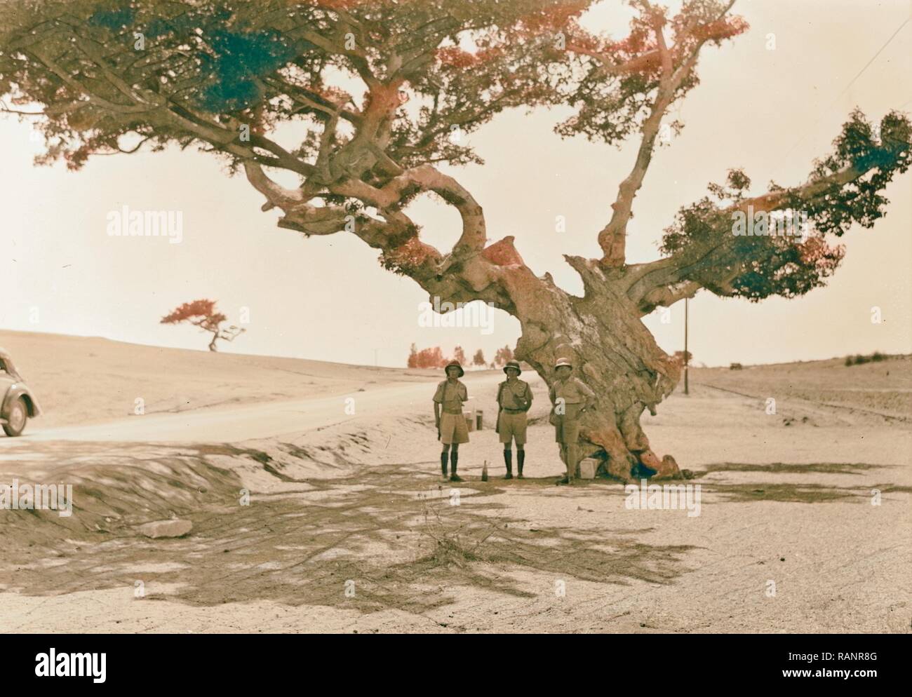 Majdel village & its primitive weaving. A typical geinaiz arabic or ...