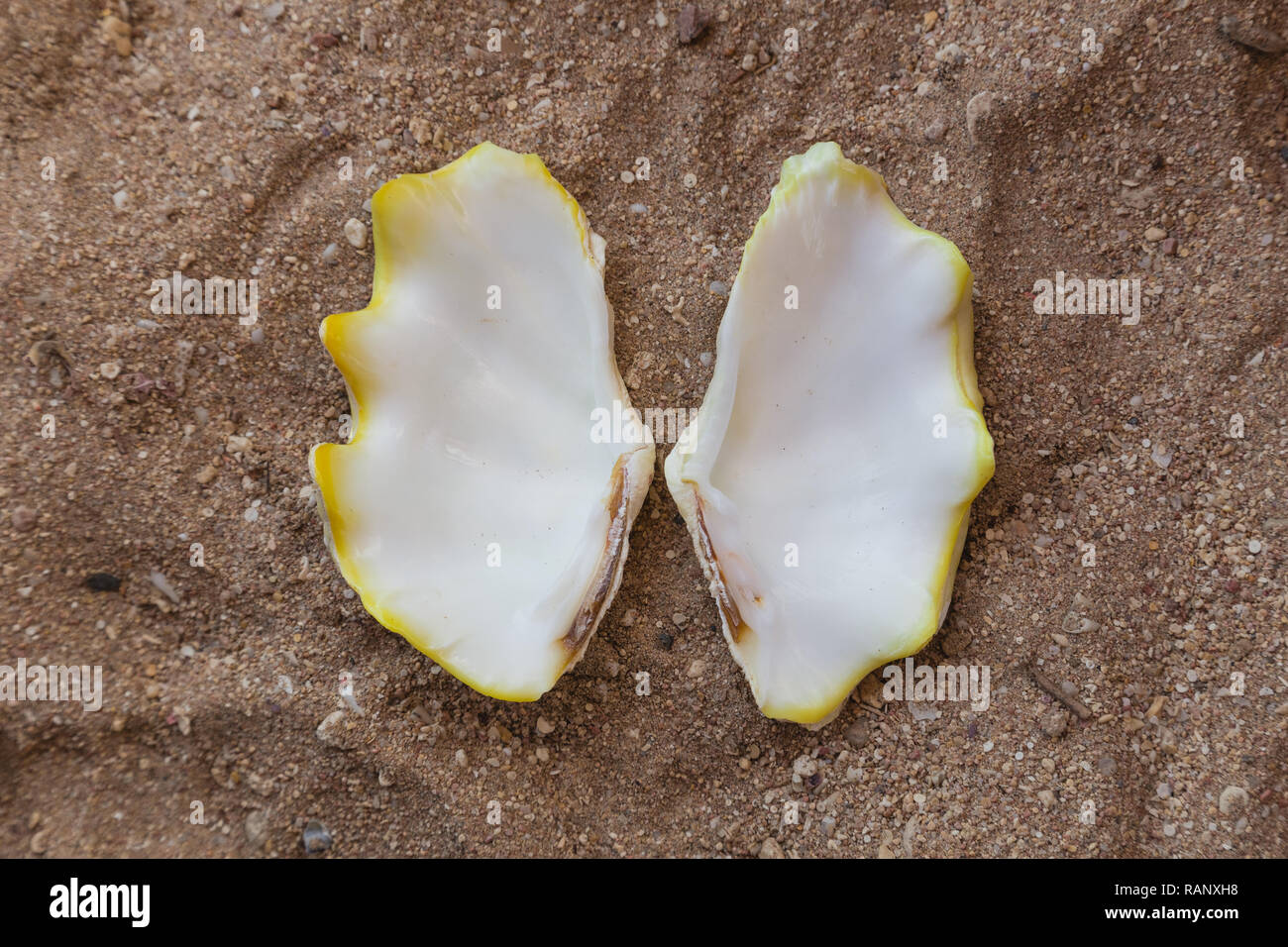 Egyptian resort photography hi-res stock photography and images - Alamy