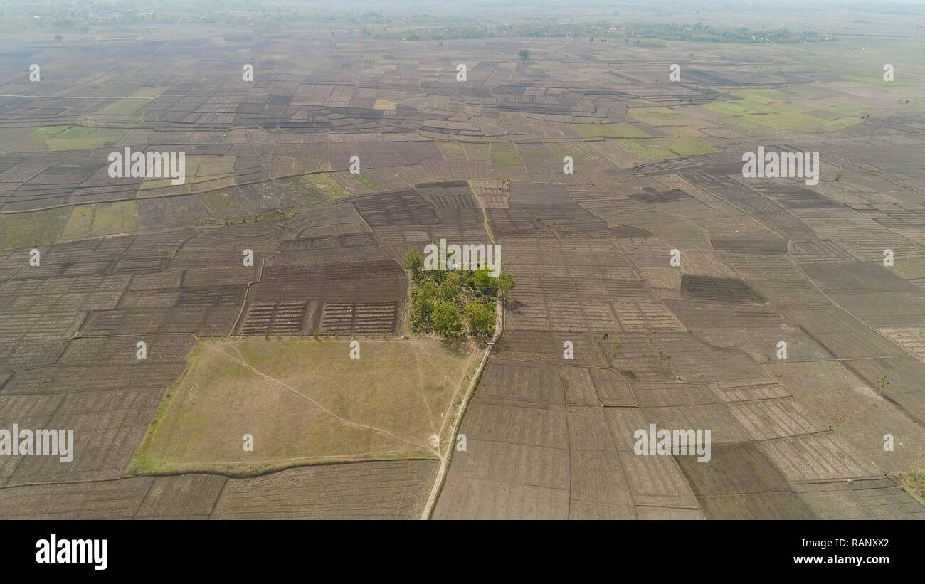 aerial view agricultural land after harvest. agricultural land ...