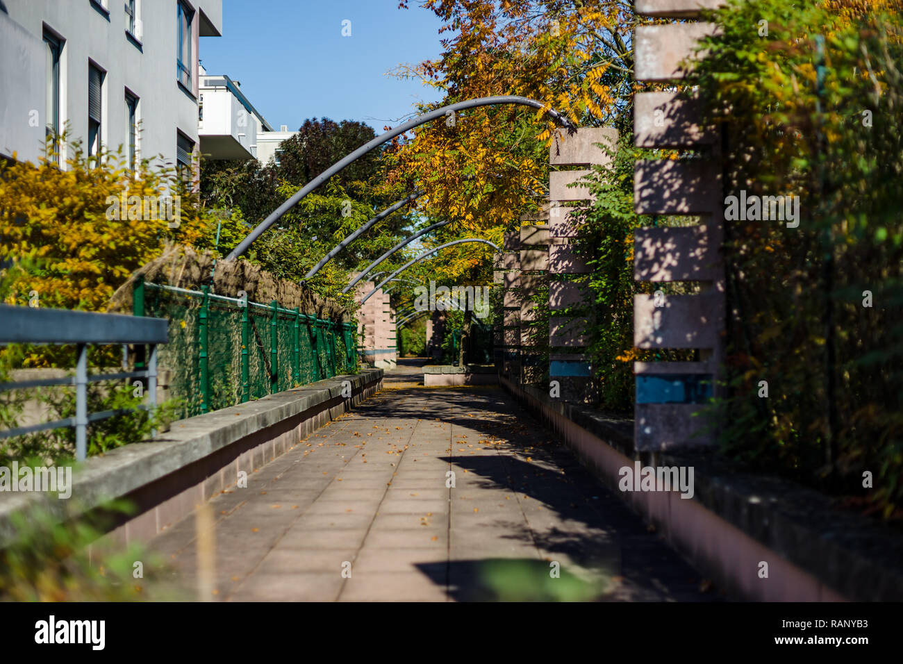 Autumn in the Strasbourg city, sunlight and colors, street view, France ...