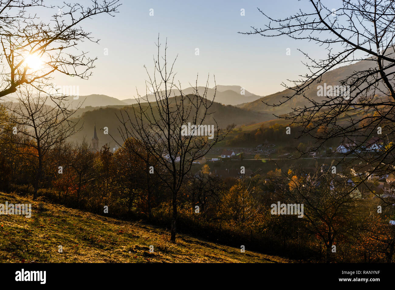 Autumn colors of nature in Alsace, colorful leaves and fgorests, France ...