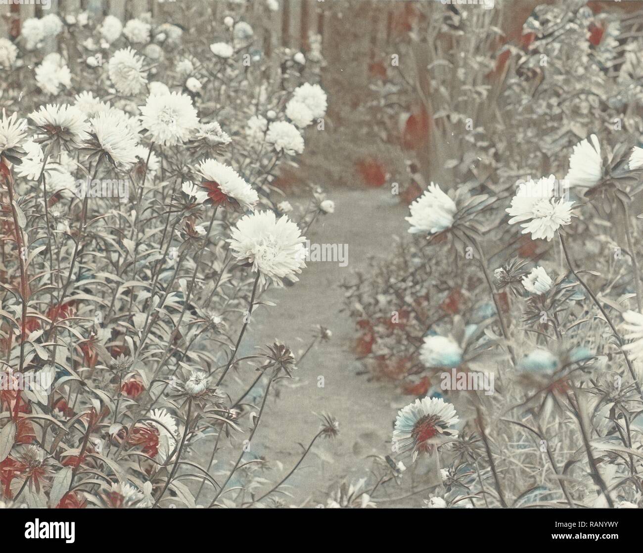 View of a garden with flowers, William B. Post, 1857 – 1921, c. 1885 ...