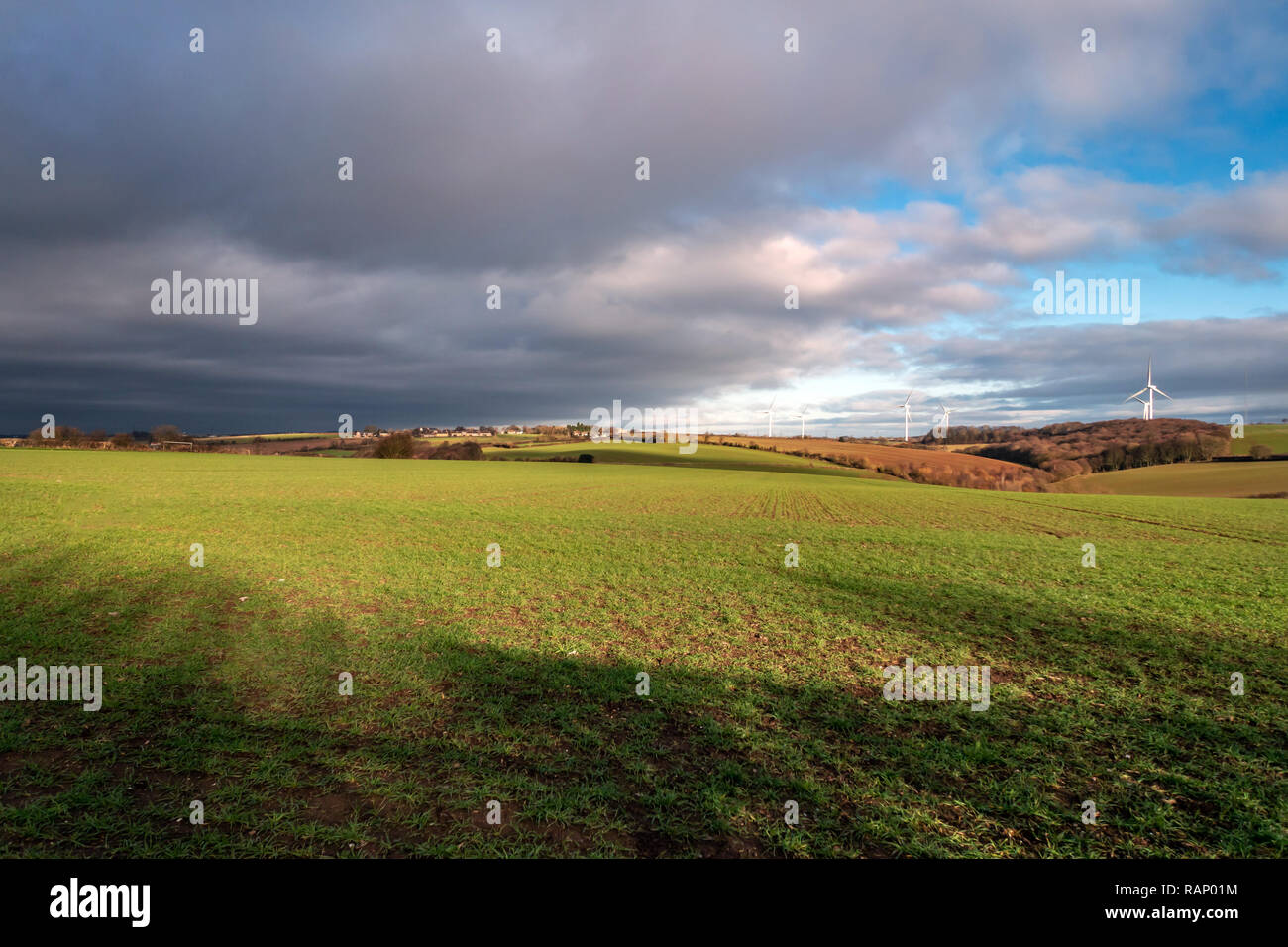 Ulley reservoir rotherham hi-res stock photography and images - Alamy
