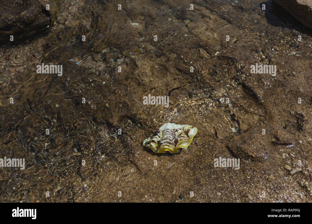 Sand bath egypt hi-res stock photography and images - Alamy