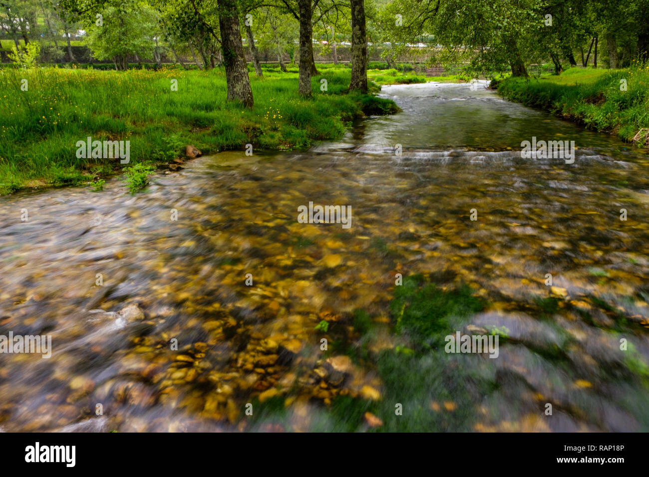 river passes between the trees Stock Photo - Alamy