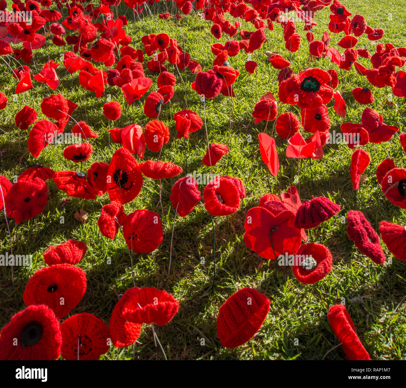 Woven poppies hi-res stock photography and images - Alamy