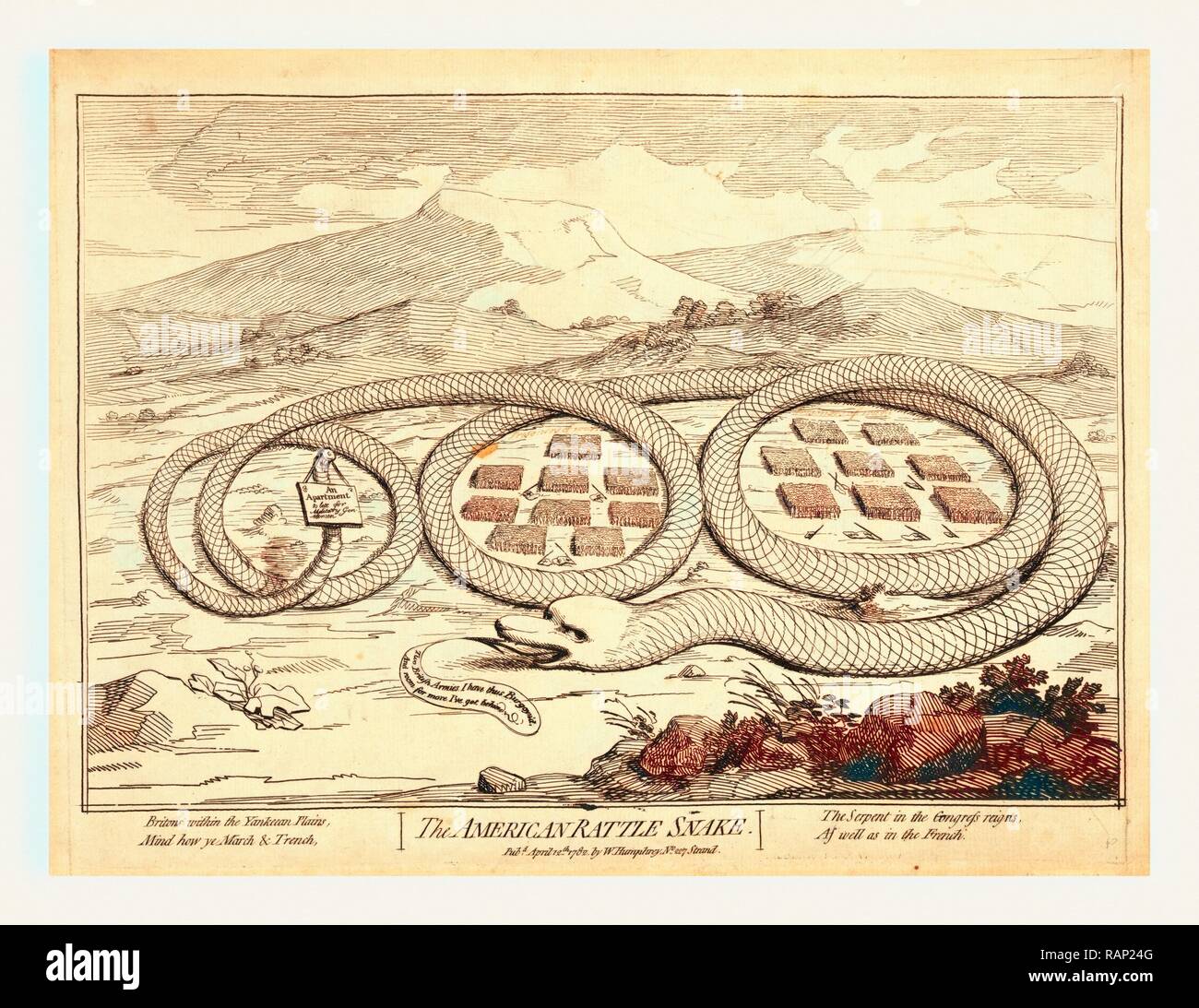 The American rattle snake, en sanguine engraving shows American snake ...