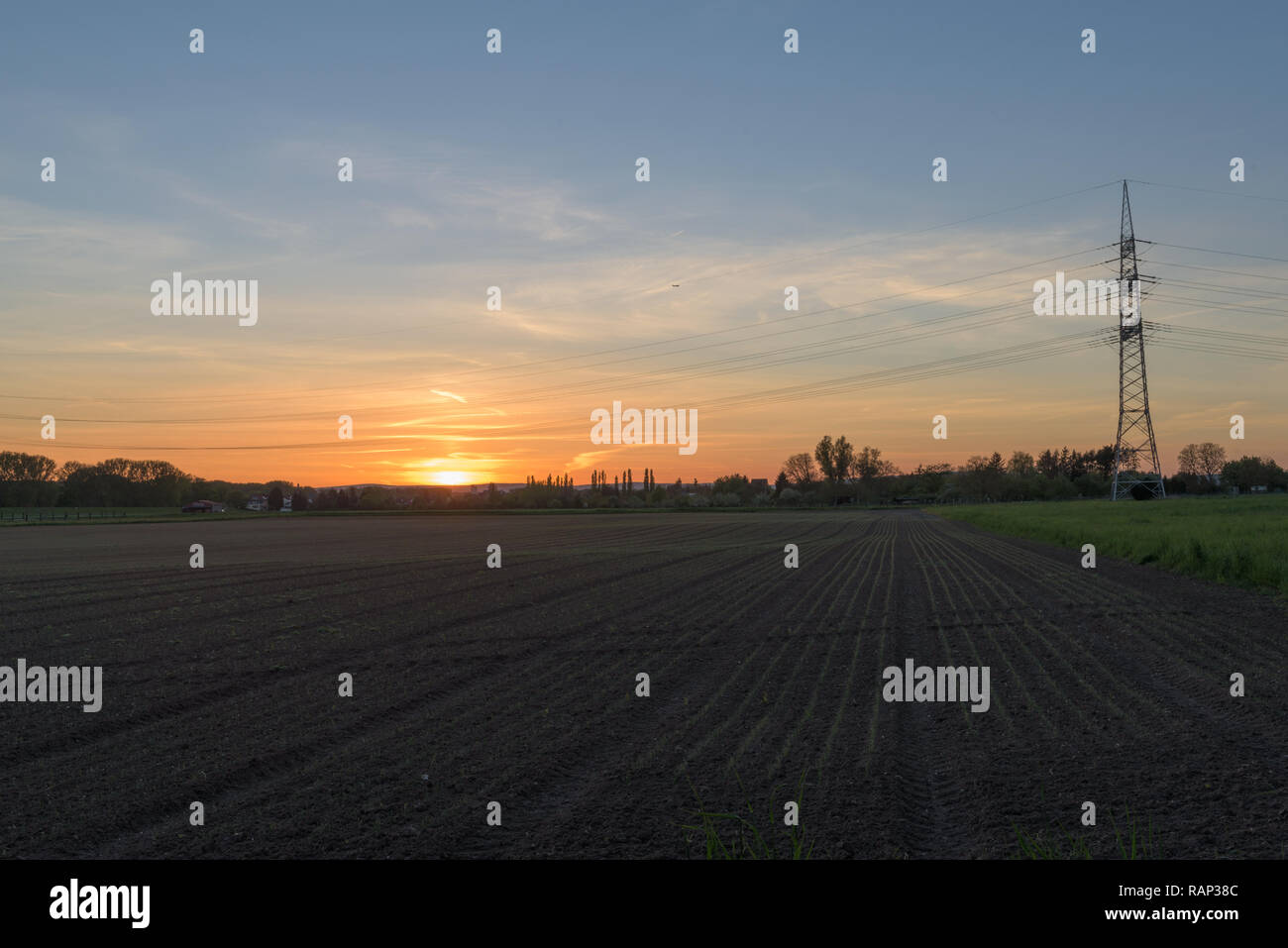 Tree plane landing sunset hi-res stock photography and images - Alamy