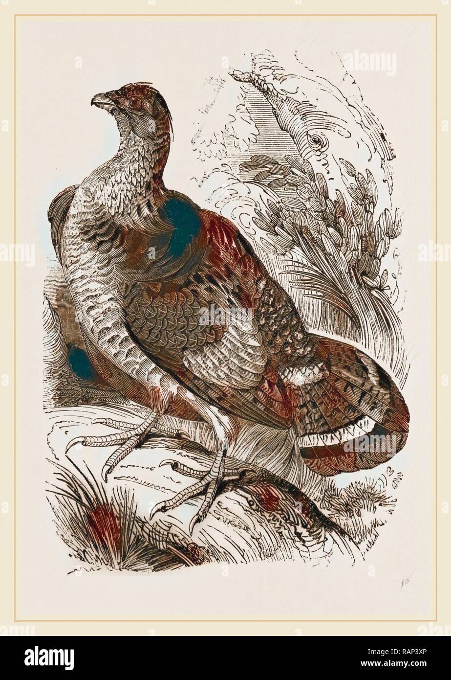 Ruffed Grouse. Reimagined by Gibon. Classic art with a modern twist ...