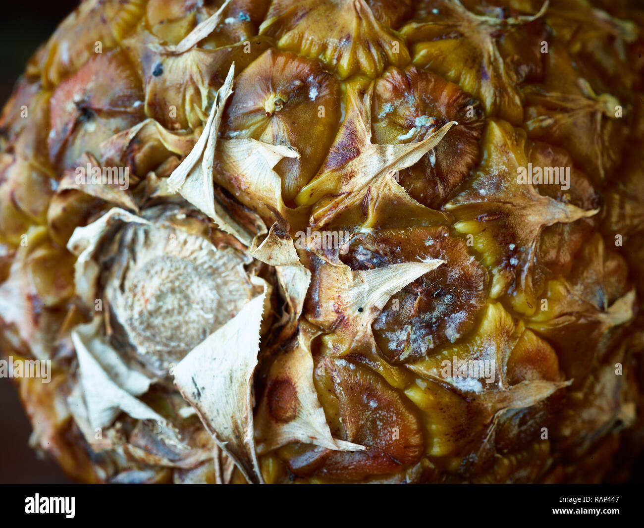 Pineapple fruit still-life close up photograph sowing the skin in ...