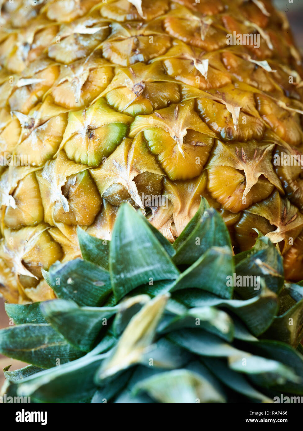 Pineapple fruit still-life close up photograph sowing the skin in ...
