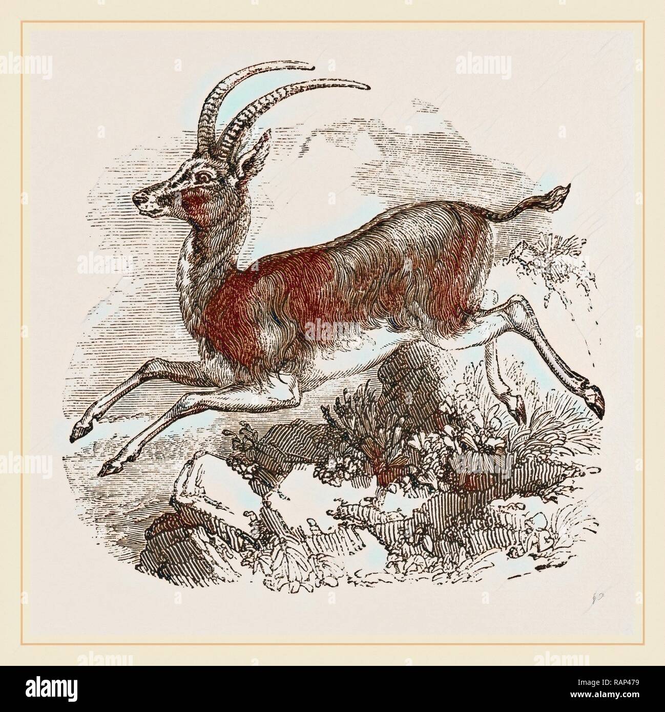 Blauwbok. Reimagined by Gibon. Classic art with a modern twist ...