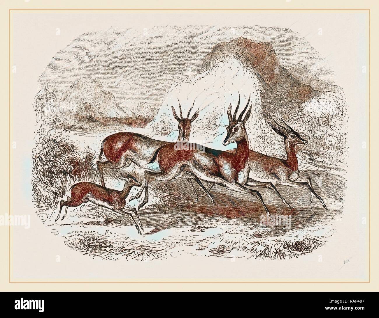 Ariel Gazelles. Reimagined by Gibon. Classic art with a modern twist ...