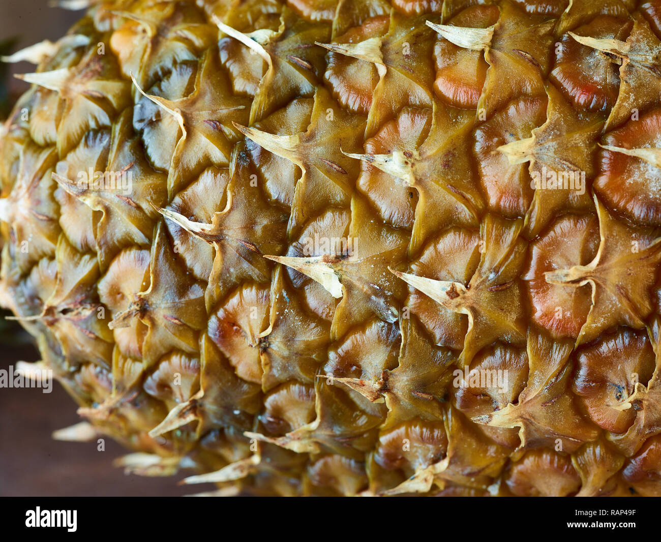 Close - up of pineapple fruit showing skin pattern flecks food still ...