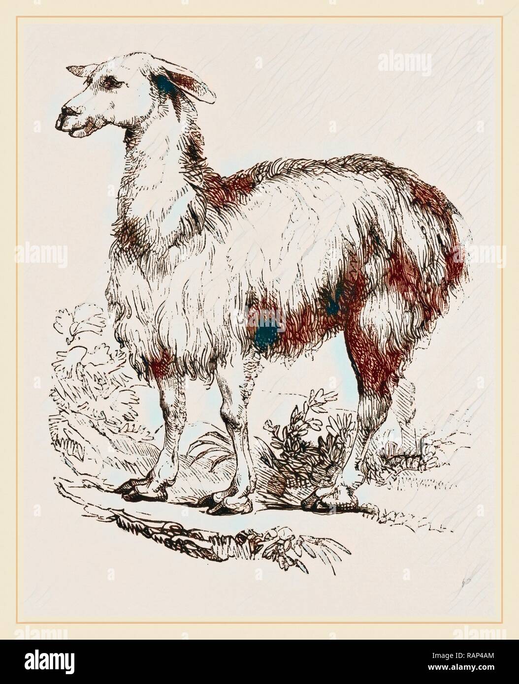 Tame Llama white. Reimagined by Gibon. Classic art with a modern twist ...