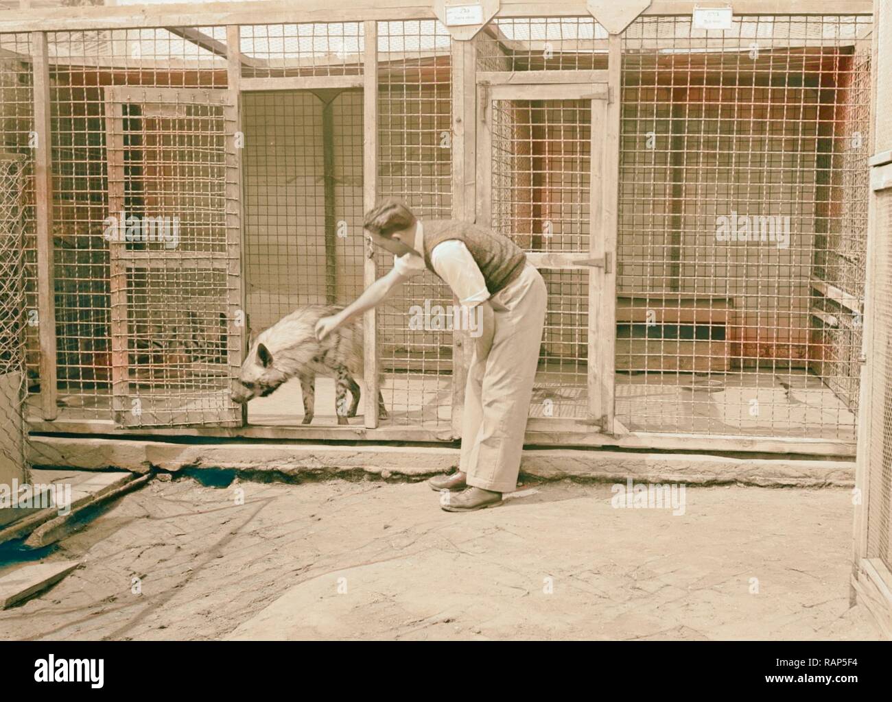 Tel Aviv Zoo. Man with hyena. 1934, Israel, Tel Aviv. Reimagined by ...