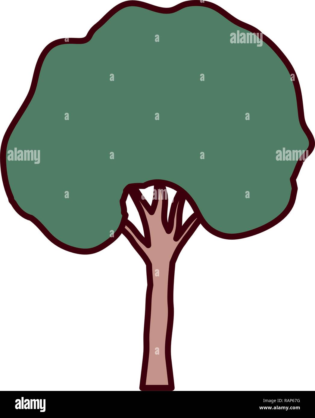 tall tree isolated icon Stock Vector Image & Art - Alamy