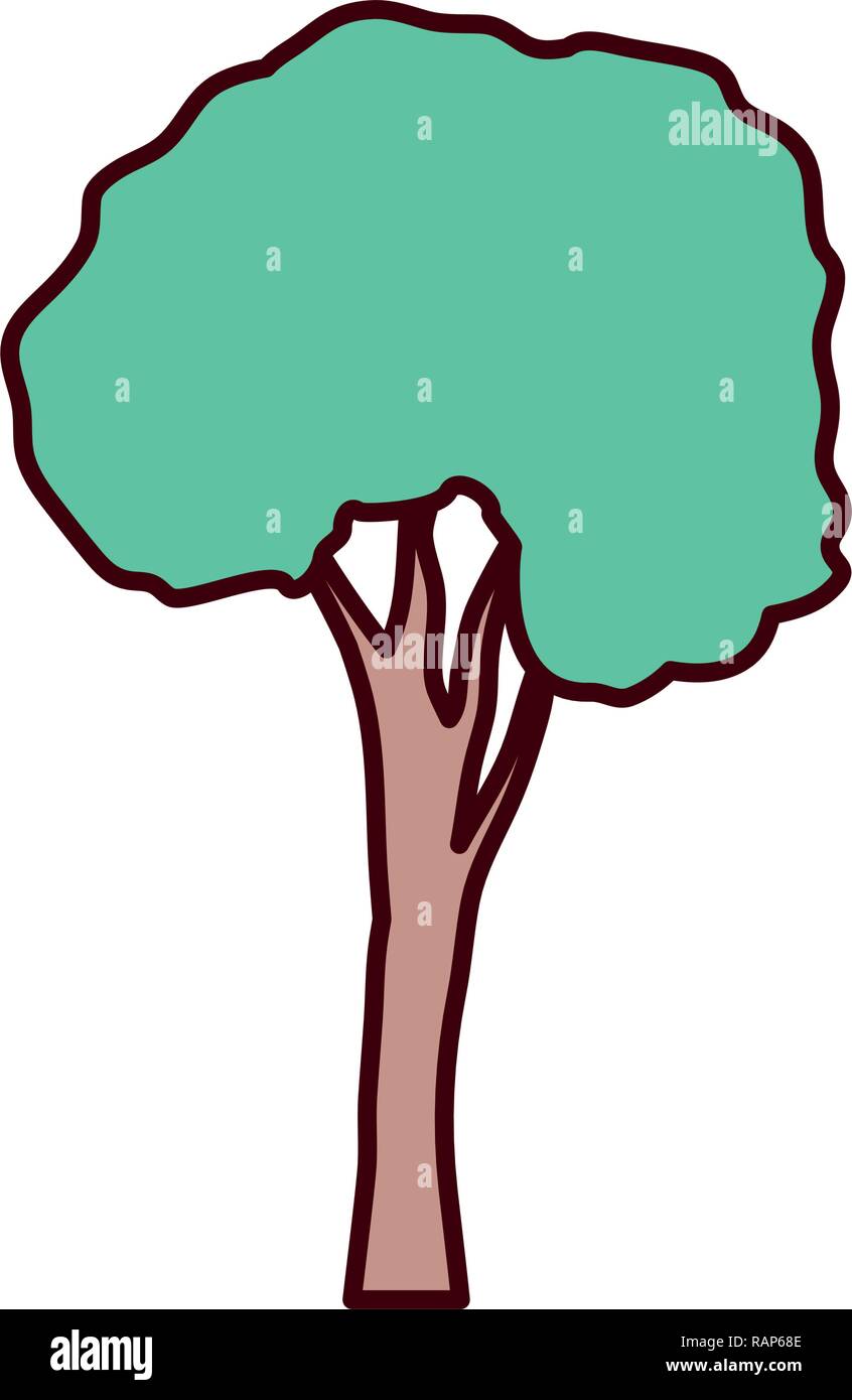 tall tree isolated icon Stock Vector Image & Art - Alamy